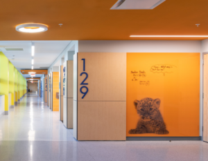 ColorDrop™: Any Image. Any Graphic. Any Design. | Clarus