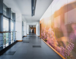 ColorDrop™: Any Image. Any Graphic. Any Design. | Clarus