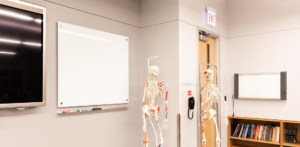 Depth: The original glass whiteboard that disrupted an industry.